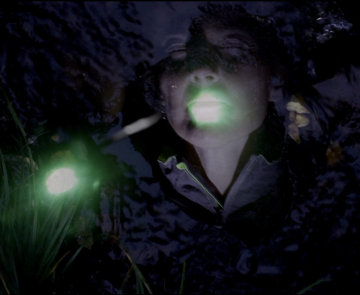 Into the Glisk | ELFA