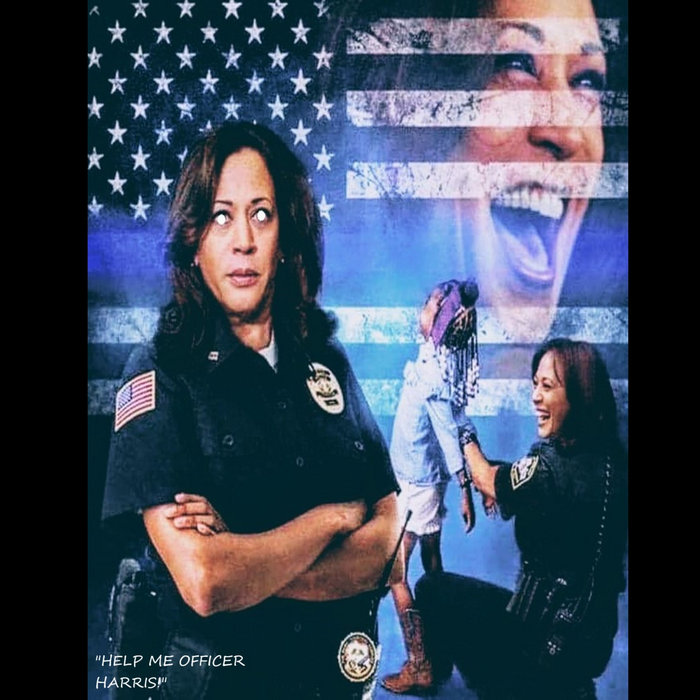 "Help Me Officer Harris!" | Cult Vista