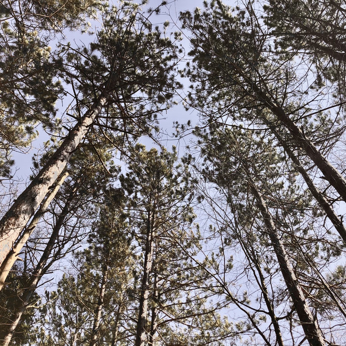 Kaleva | Jeremy Cronk