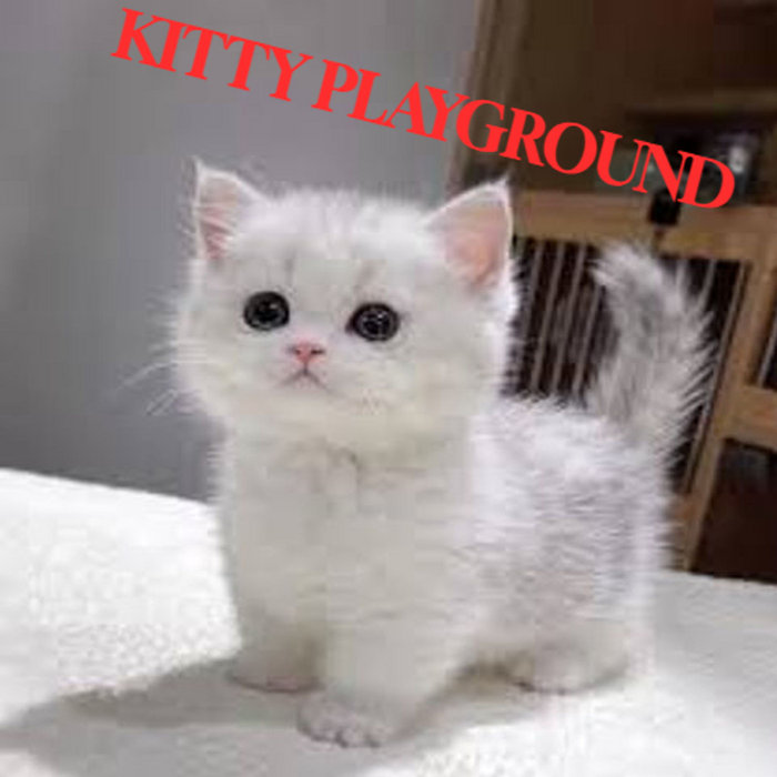 KITTY PLAYGROUND | Kitty Playhouse