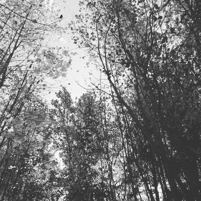 October 2022 | Kate Kato