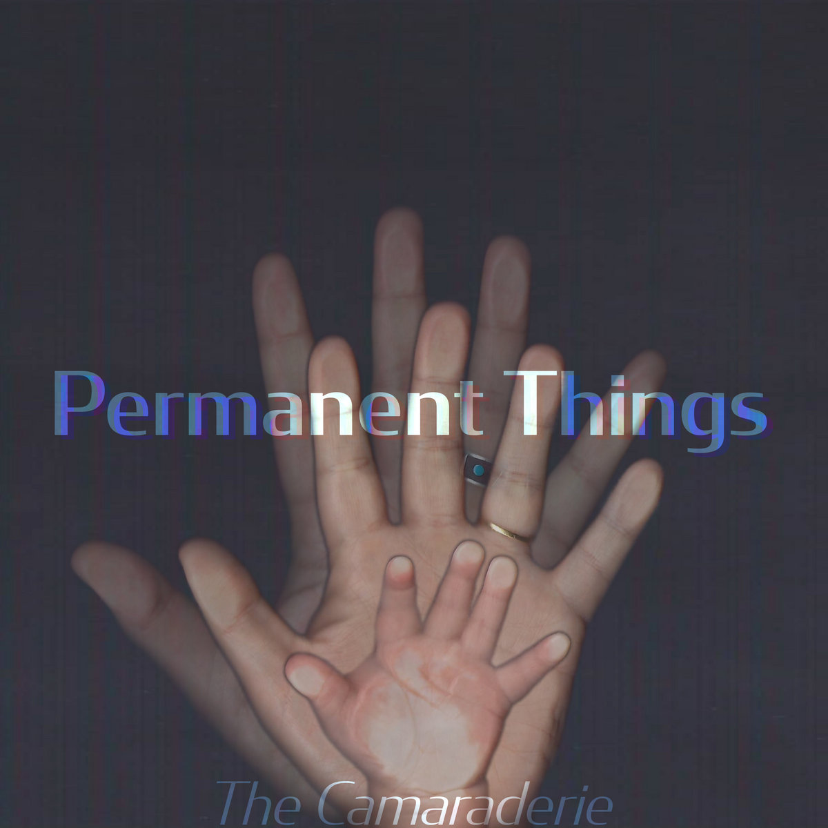 Permanent Things | The Camaraderie