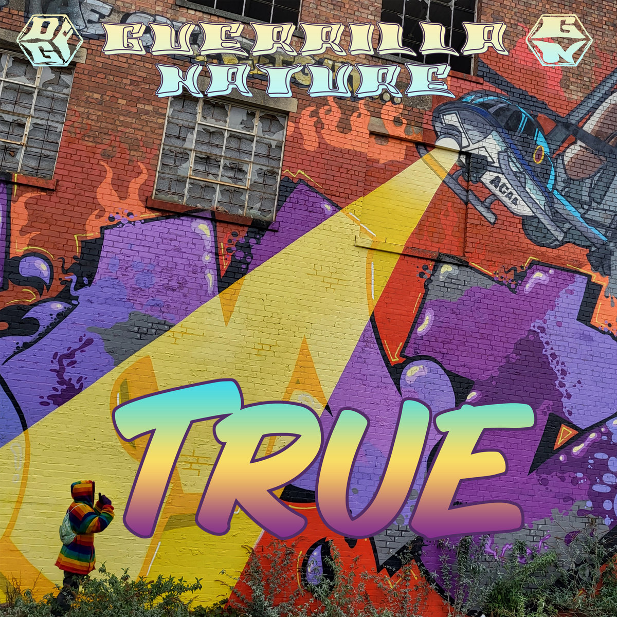 Guerrilla Nature - TRUE (ACR330 - Another Chance Records) | Another ...