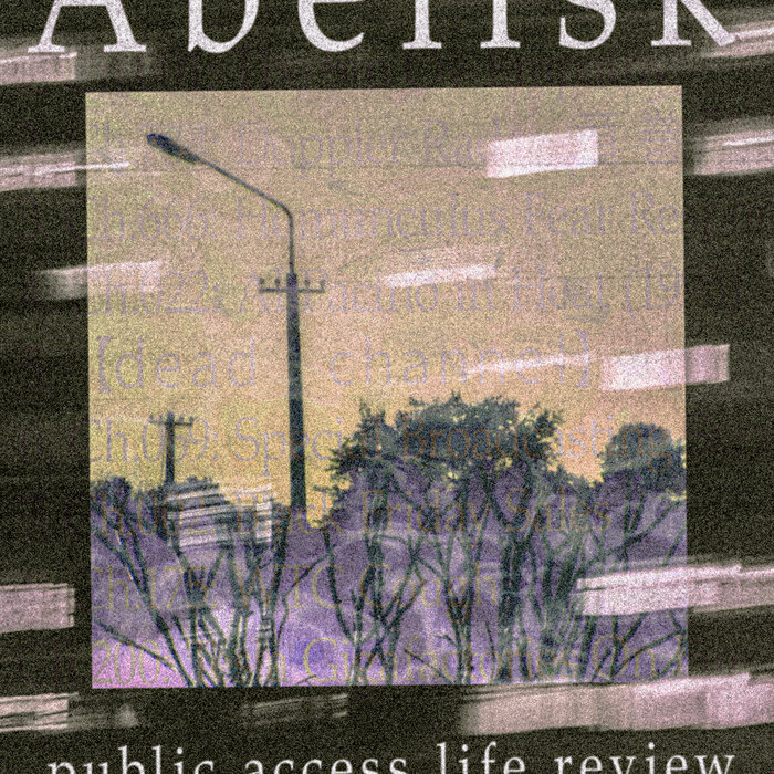 Public Access Life Review | Abelisk | Abelisk Audio