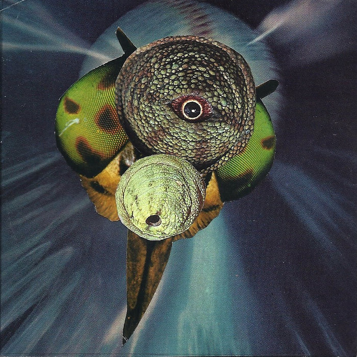 the Big Toe | Duo Dacryops | MakeWorldGooderRecordings