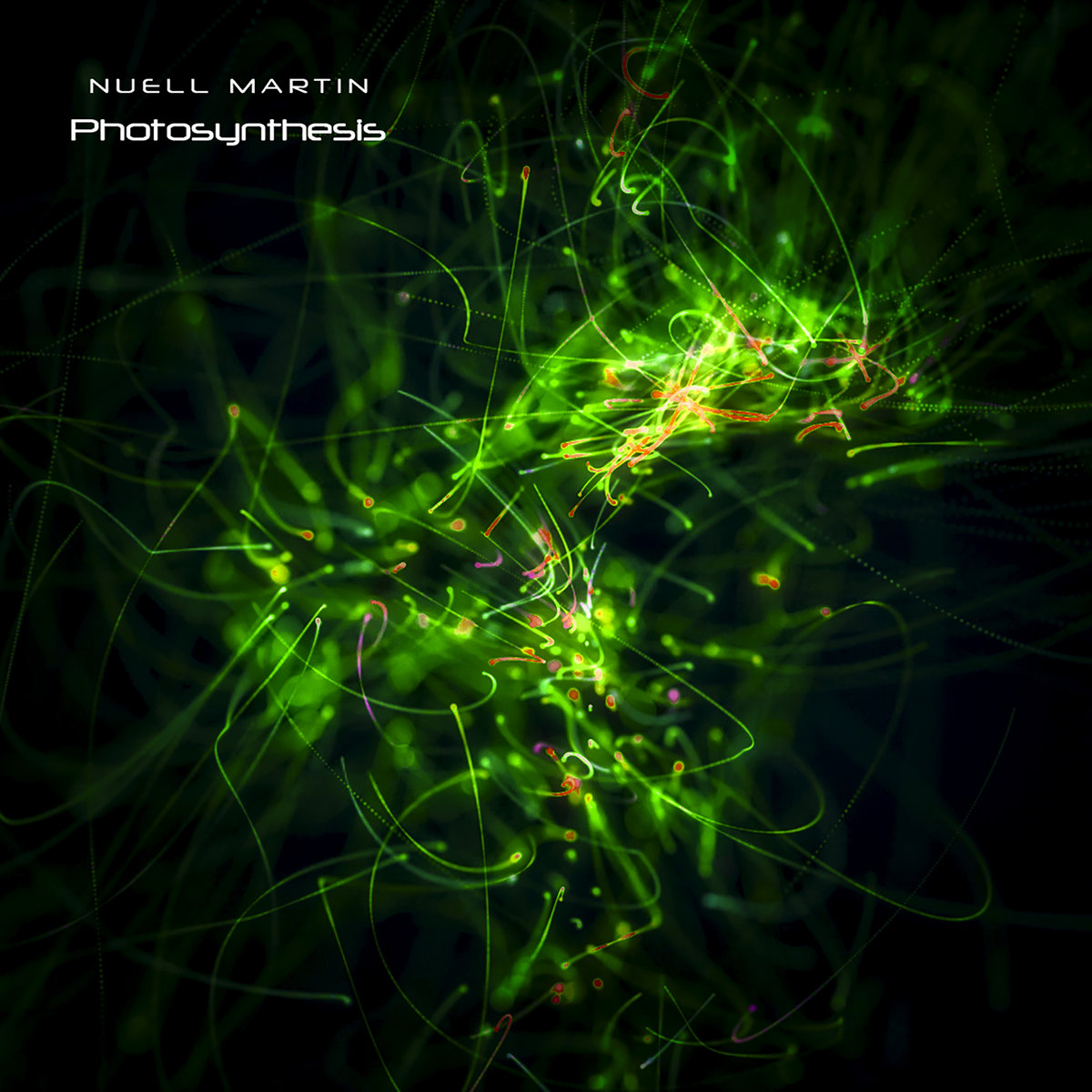 Photosynthesis | Nuell Martin