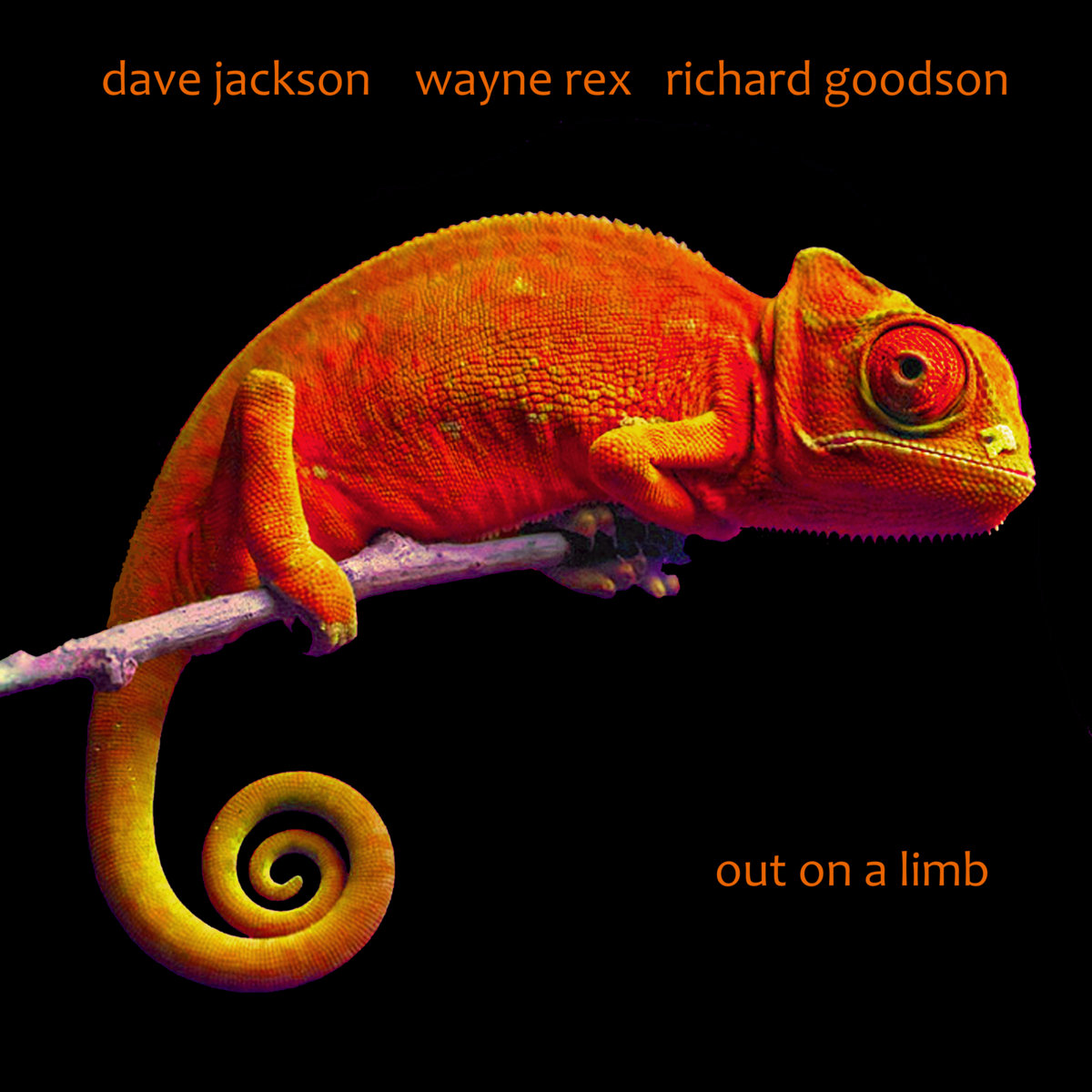 Out on a Limb ---- Double Album | WAYNE REX - DAVE JACKSON - RICH ...