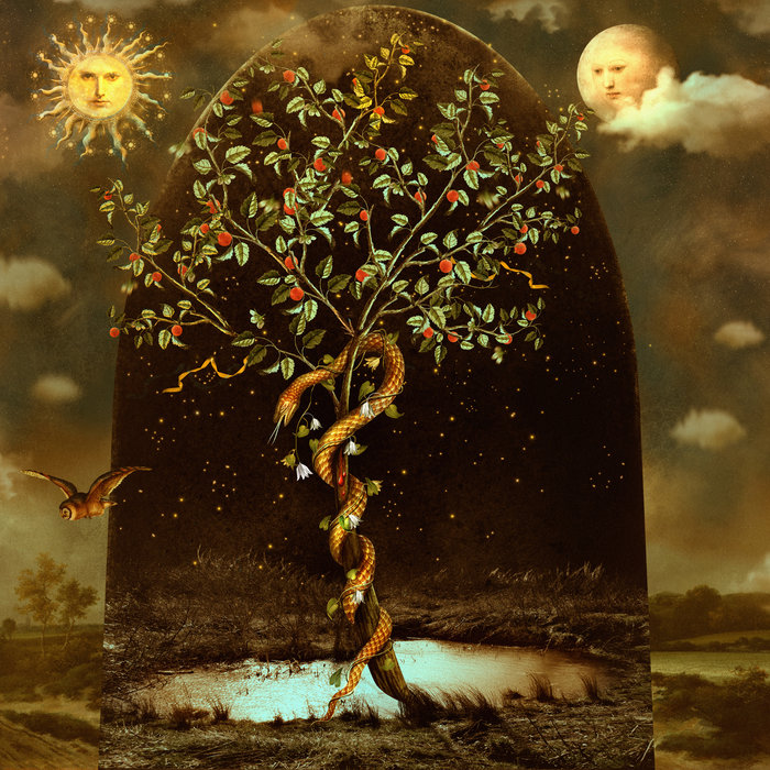 Downward Flowers | Shadows Tranquil