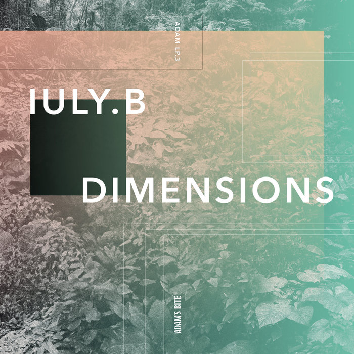 Dimensions | IULY.B