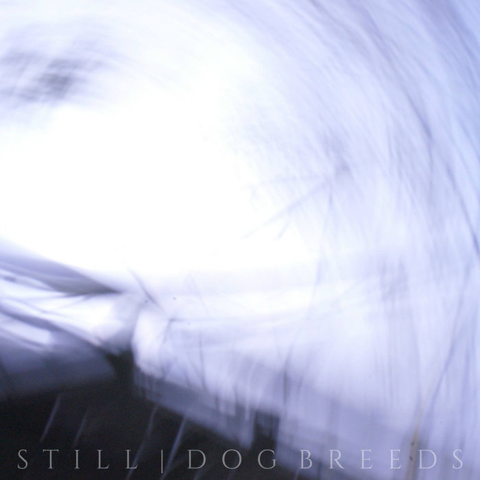 Split EP | Still / Dog Breeds | Still