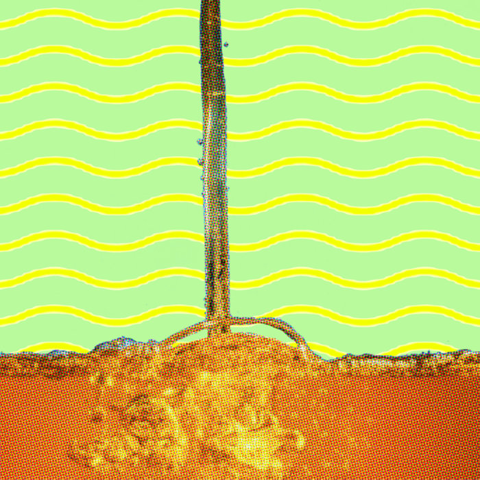 The Piss in Bucket Collector's Edition EP | Billy Bongo & the Big Stiff