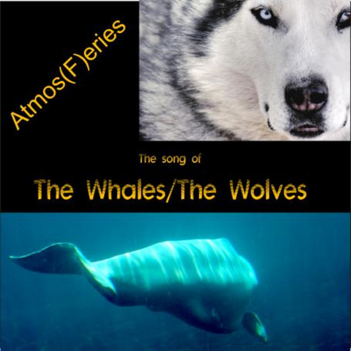 Song of the whales/the wolves | Naami