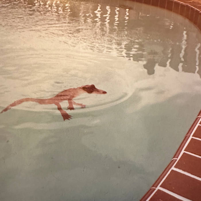 Deloyd Elze – Nellene – out out