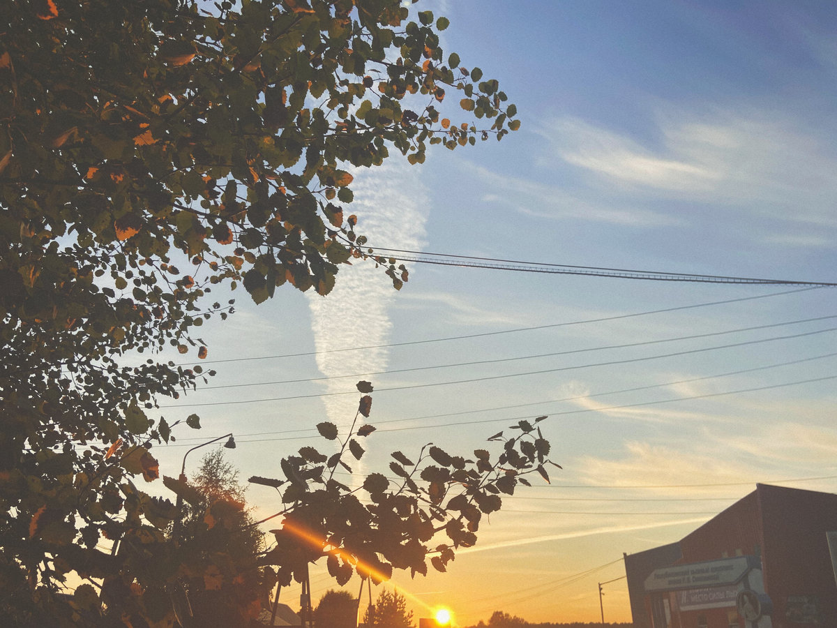 in between days | lurp sheets