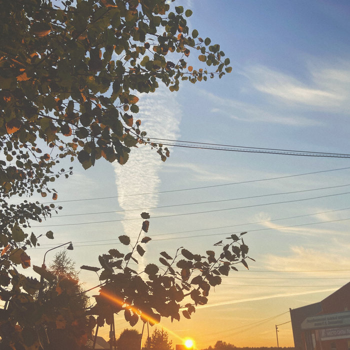 in between days | lurp sheets