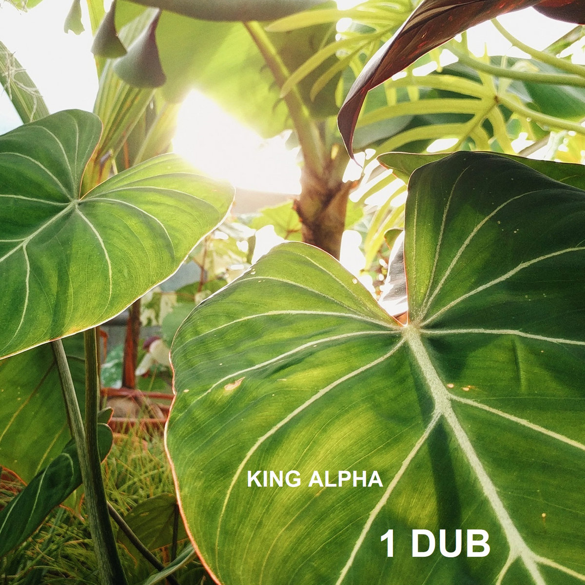 King Alpha - 1 Dub dub plate | King Alpha, Akashic Records | I-Roots Records