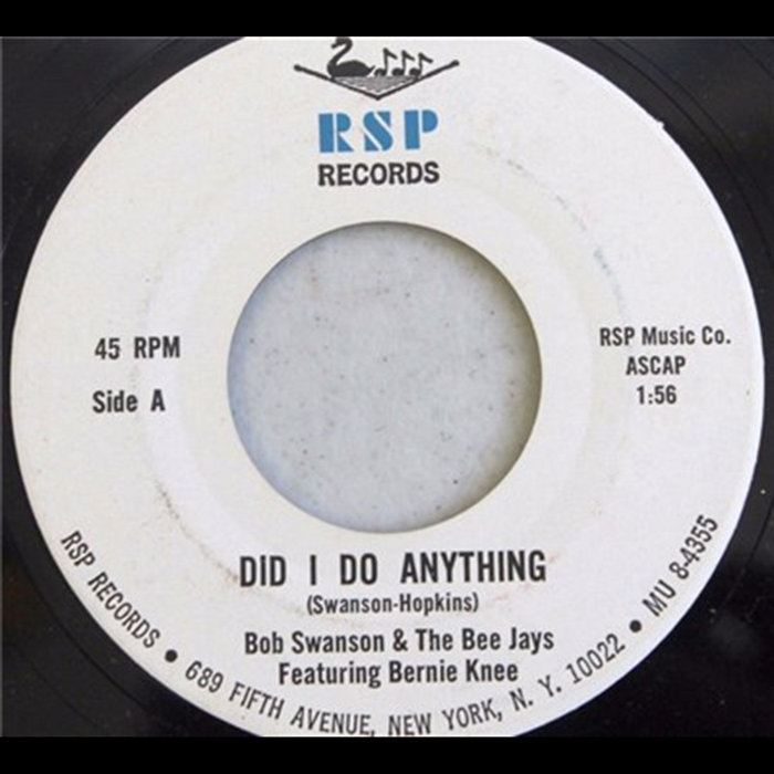 Did I Do Anything | Bob Swanson (2)