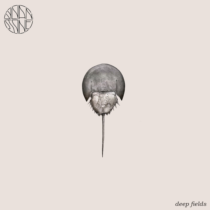 Deep Fields | Sylvan Stone