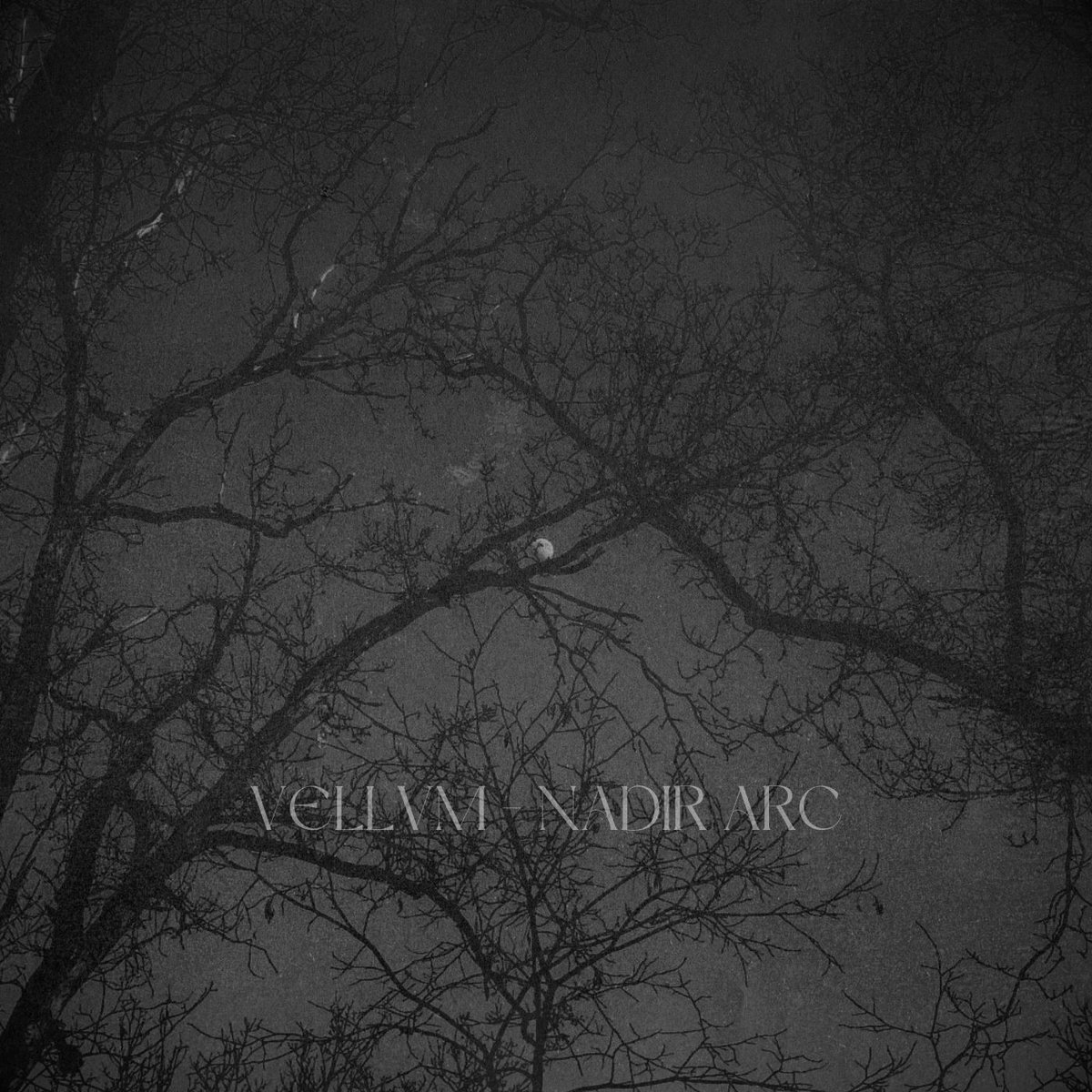 Nadir Arc | VELLVM