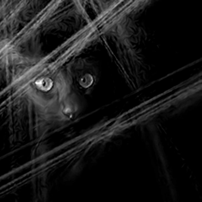 Facts Without Emotion | LUMINANCE