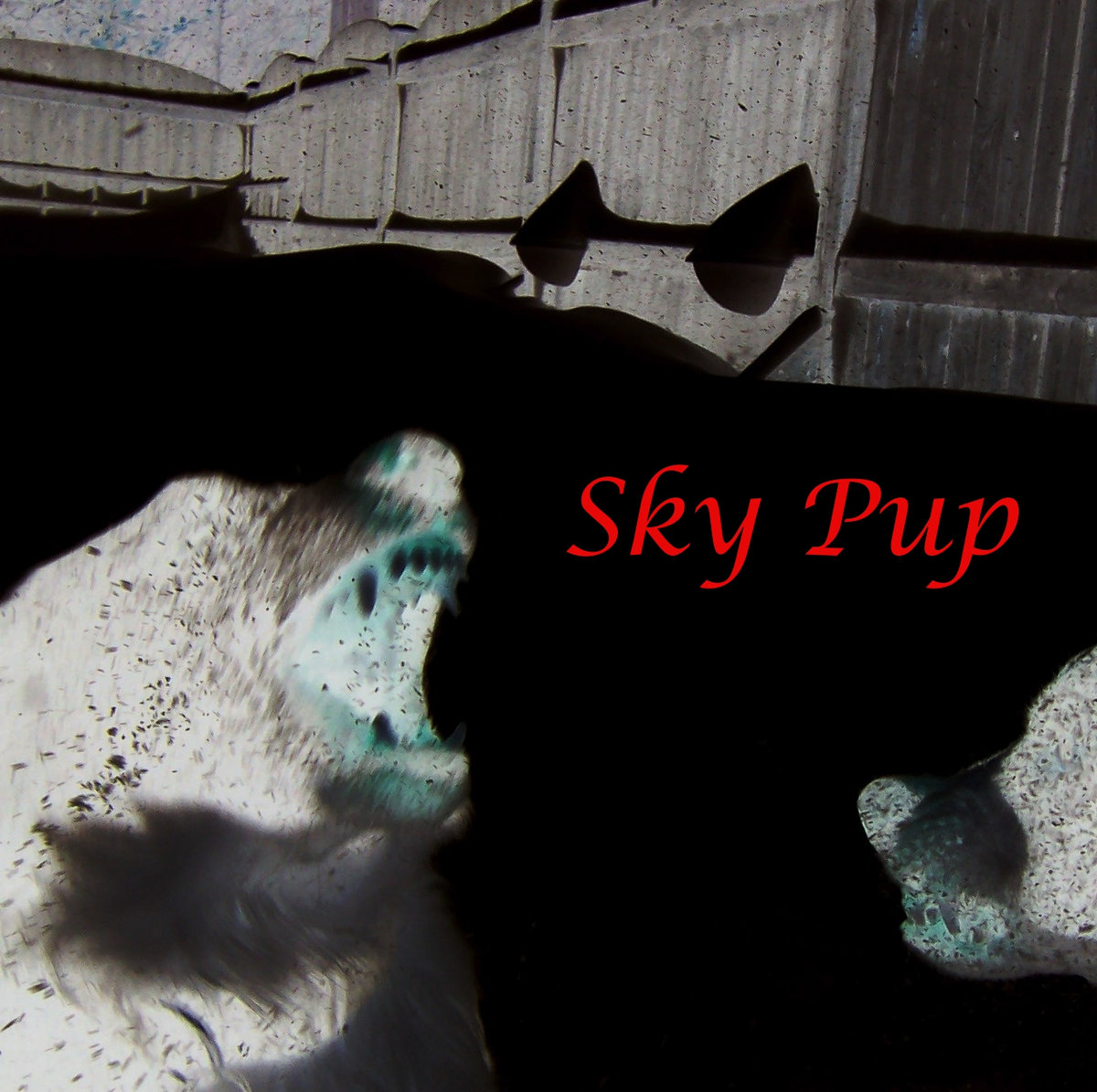 Sky Pup | Sky Pup