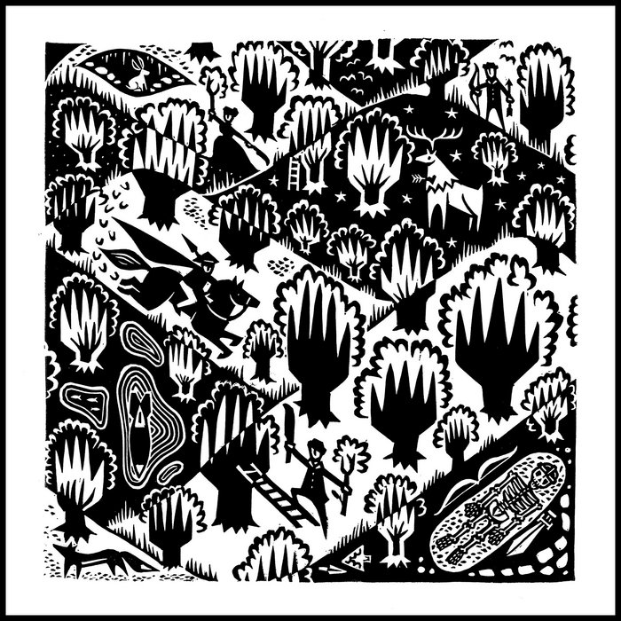 Echoes: Unearthing Stories of the Forest | Ellie Wilson