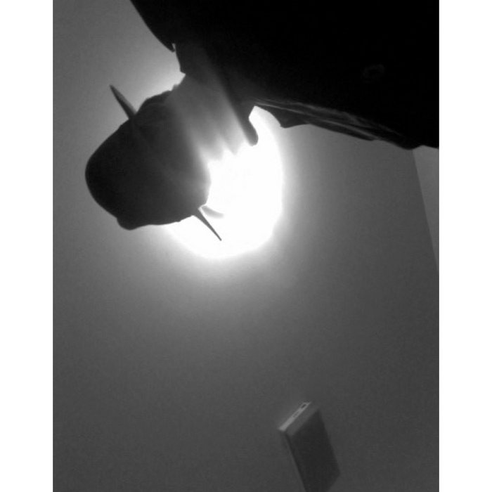 Distortion | Yesterdays Weather