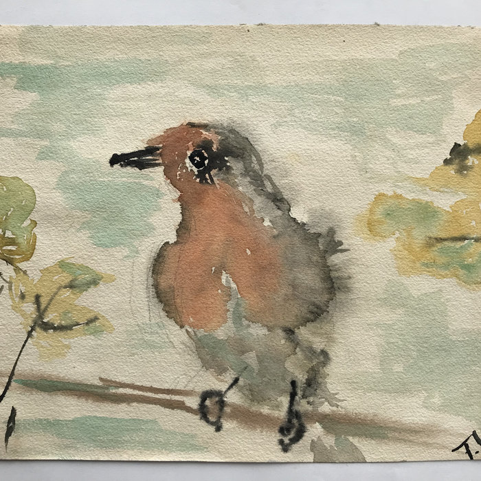 Bird of the Sea | Panalog