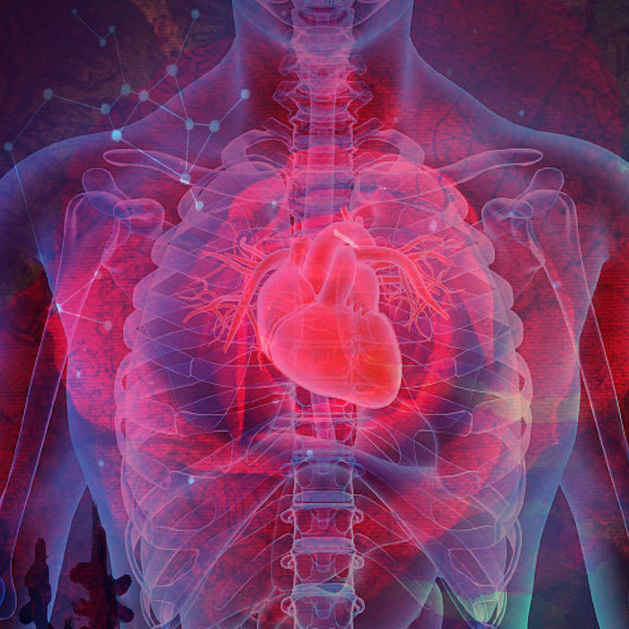 Be Still My Beating Heart | DvrkChild