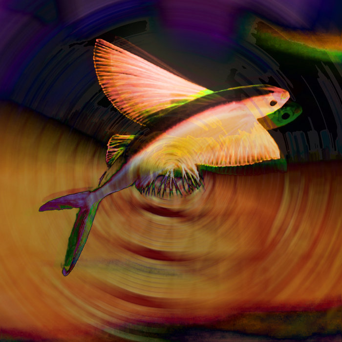 Symphony in Acid / Flying Fish EP | Sword Swinging Robot