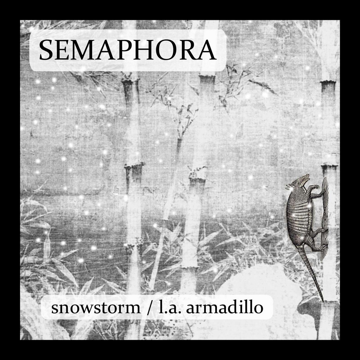 Snowstorm/L.A. Armadillo | Semaphora