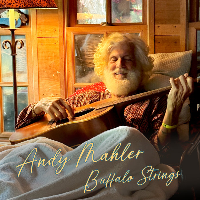 Buffalo Strings | Andy Mahler