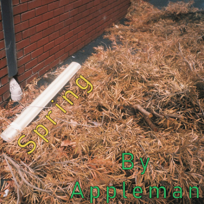 SPRING - EP/FILM | Appleman