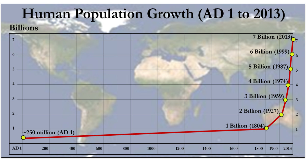 Population Bomb | Rizz ROCKS | Embryonic Earth