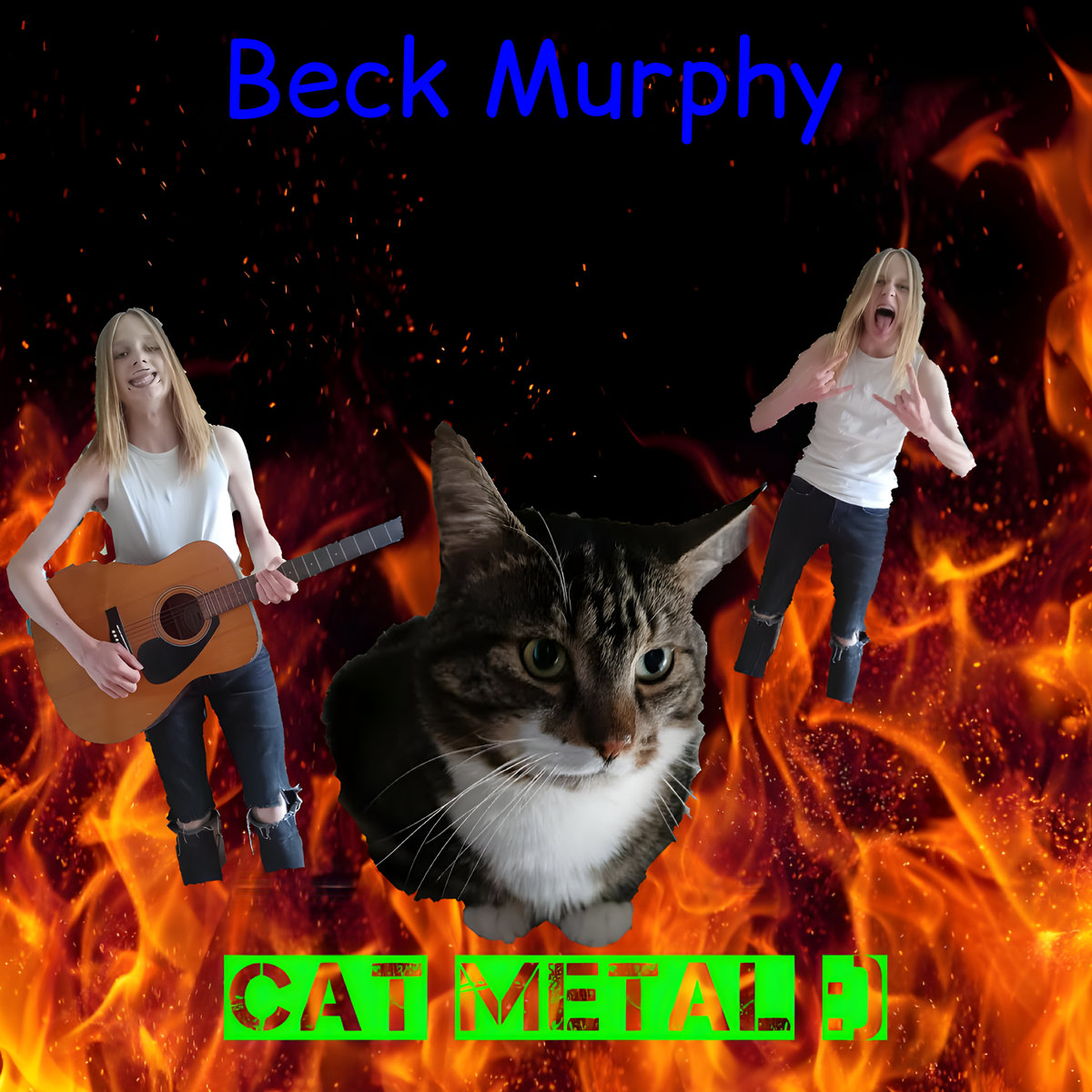CAT METAL | BECK MURPHY | Beck Murphy