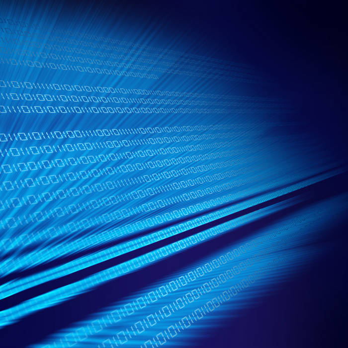 010101 at Wawasho Sessions | 010101 | Gobelinus harmonicus