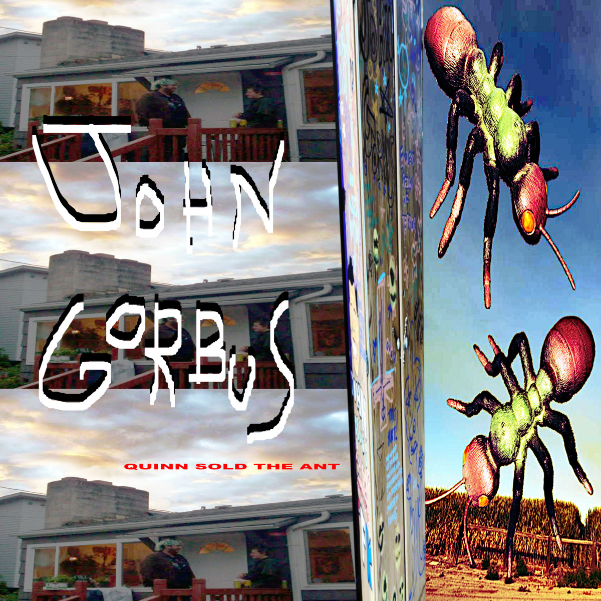 QUINN SOLD THE ANT | John Gorbus