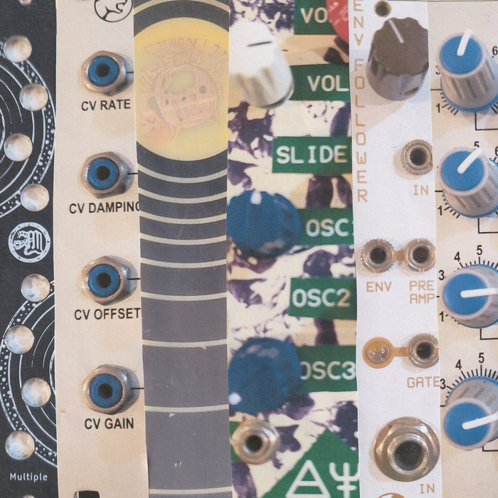 Dusk and beyond | Contemporary Oz modular electronics | dog park