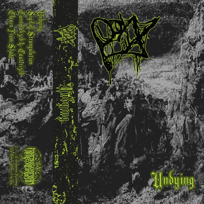 POXX - UNDYING | POXX | Transylvanian Recordings