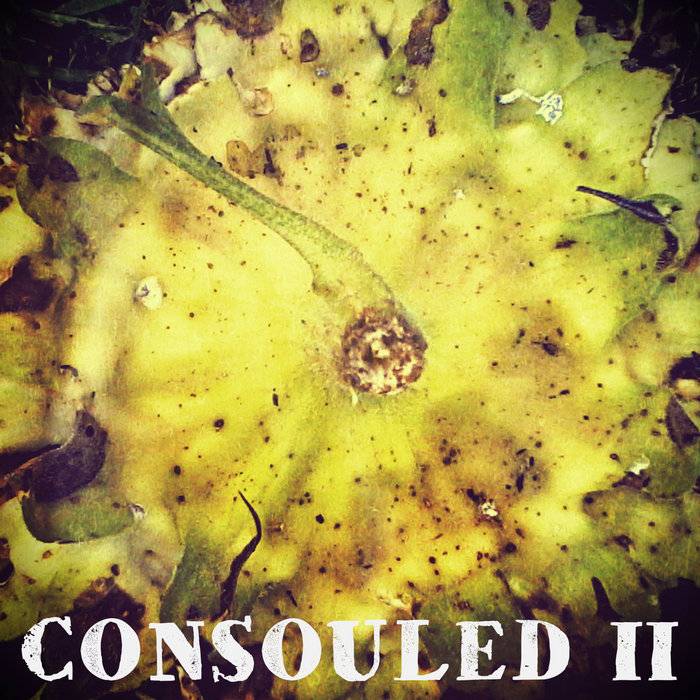 CONSOULED II | CONSOULED | Electric Relics Audio Artifacts