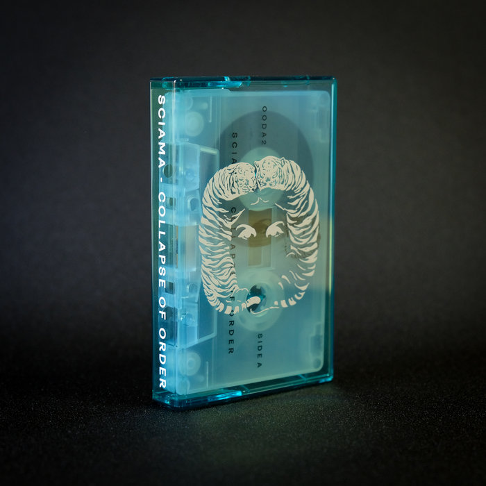 Collapse of Order | Sciama | OODA