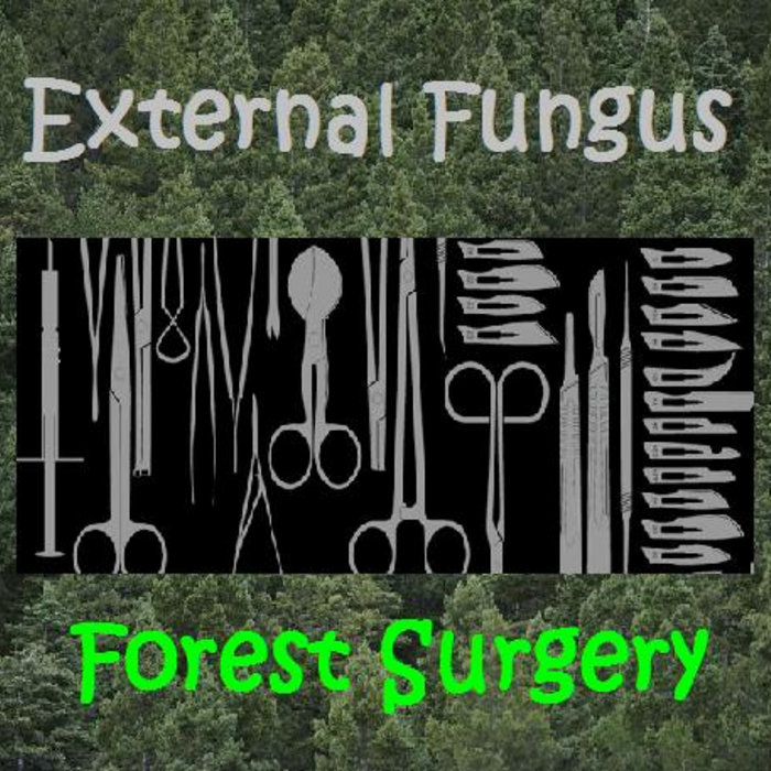 Forest Surgery | External Fungus
