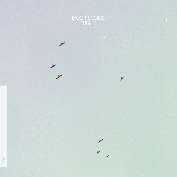 Flight | Lycoriscoris
