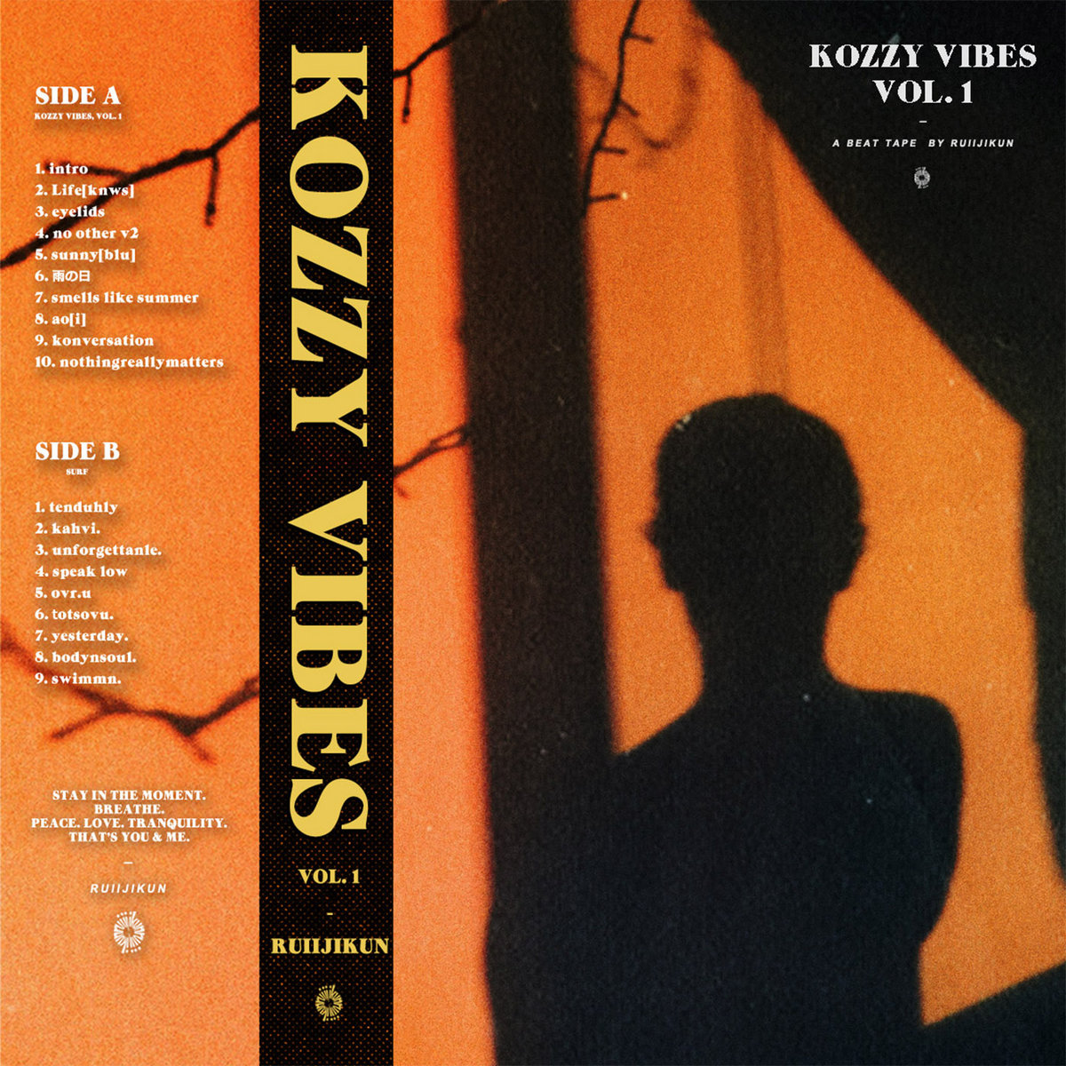 KOZZY VIBES VOL. 1 | Ruiijikun | Insert Tapes