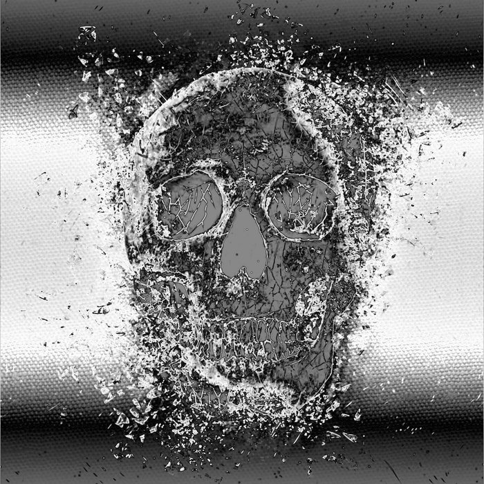 Skull Powder | The Exploitations