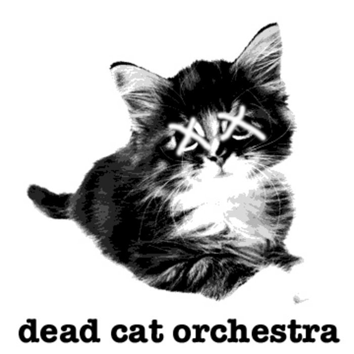 All the Hits (non-album) | Dead Cat Orchestra