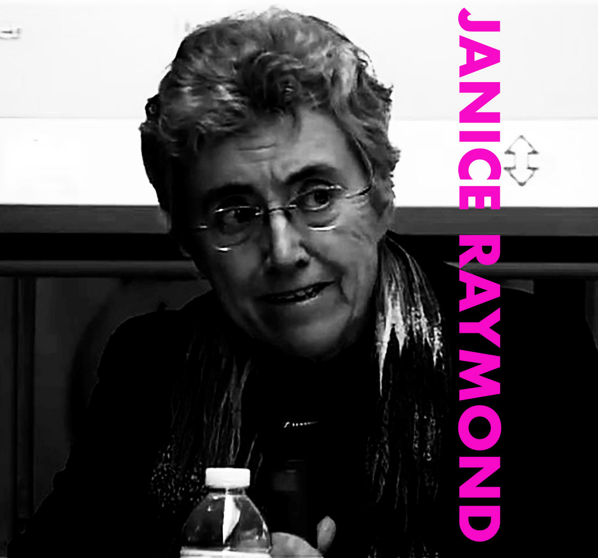 Janice Raymond | Pink Triangle Series | The White Visitation