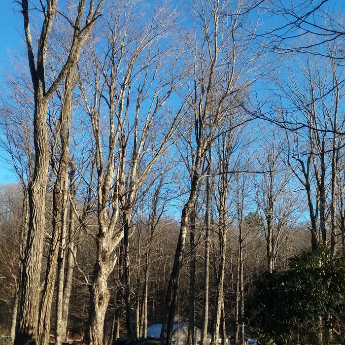 Gleam on a Lateral Lean Vol. IV | Ian Cunningham