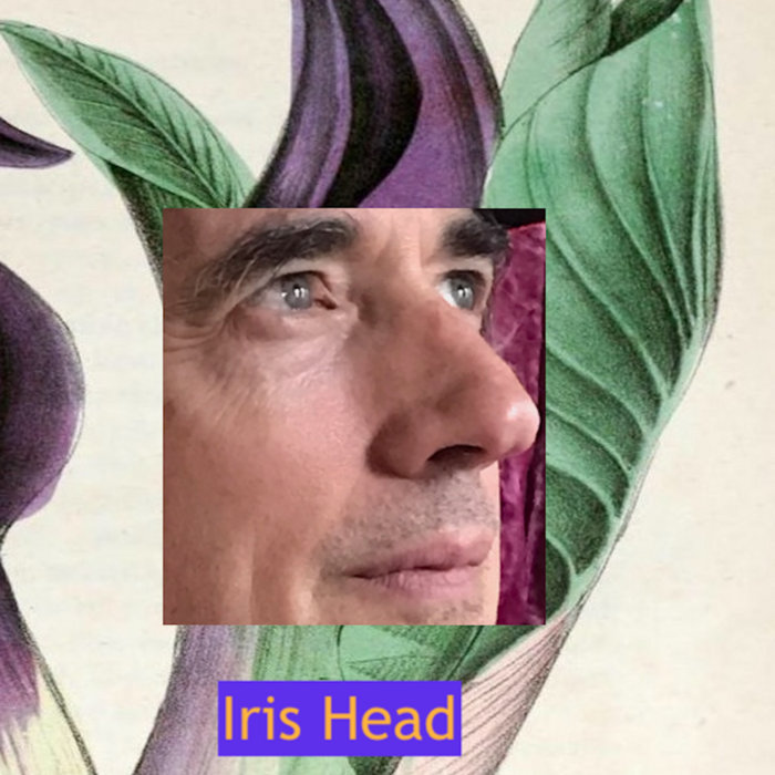 Iris Head | Jack B Donovan