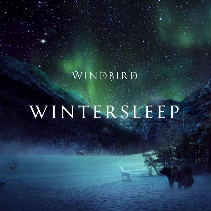 Wintersleep | Windbird